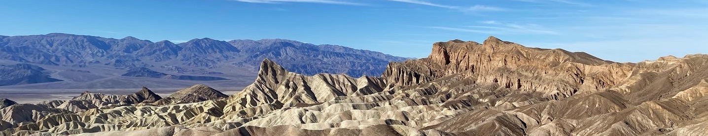 Teaching - Elizabeth Yankovsky