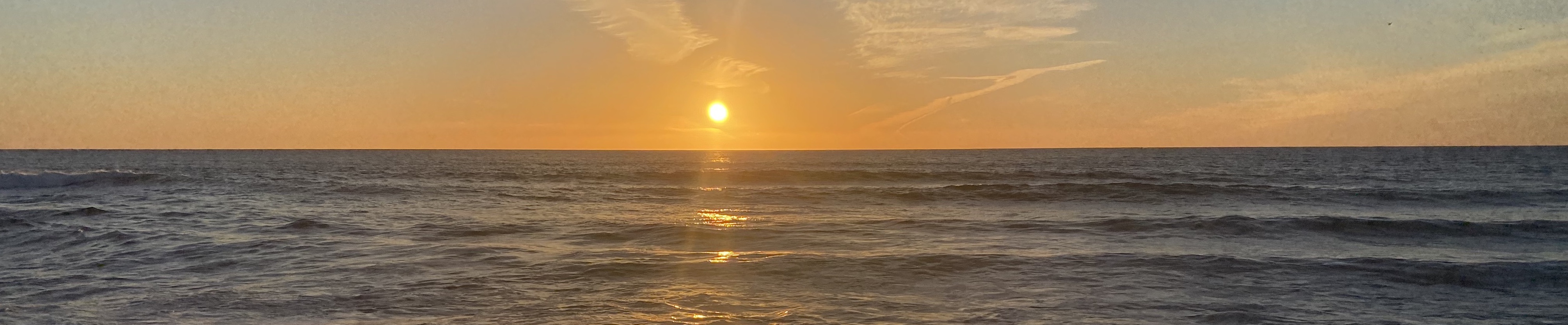 Sharing Science with the Community - Elizabeth Yankovsky